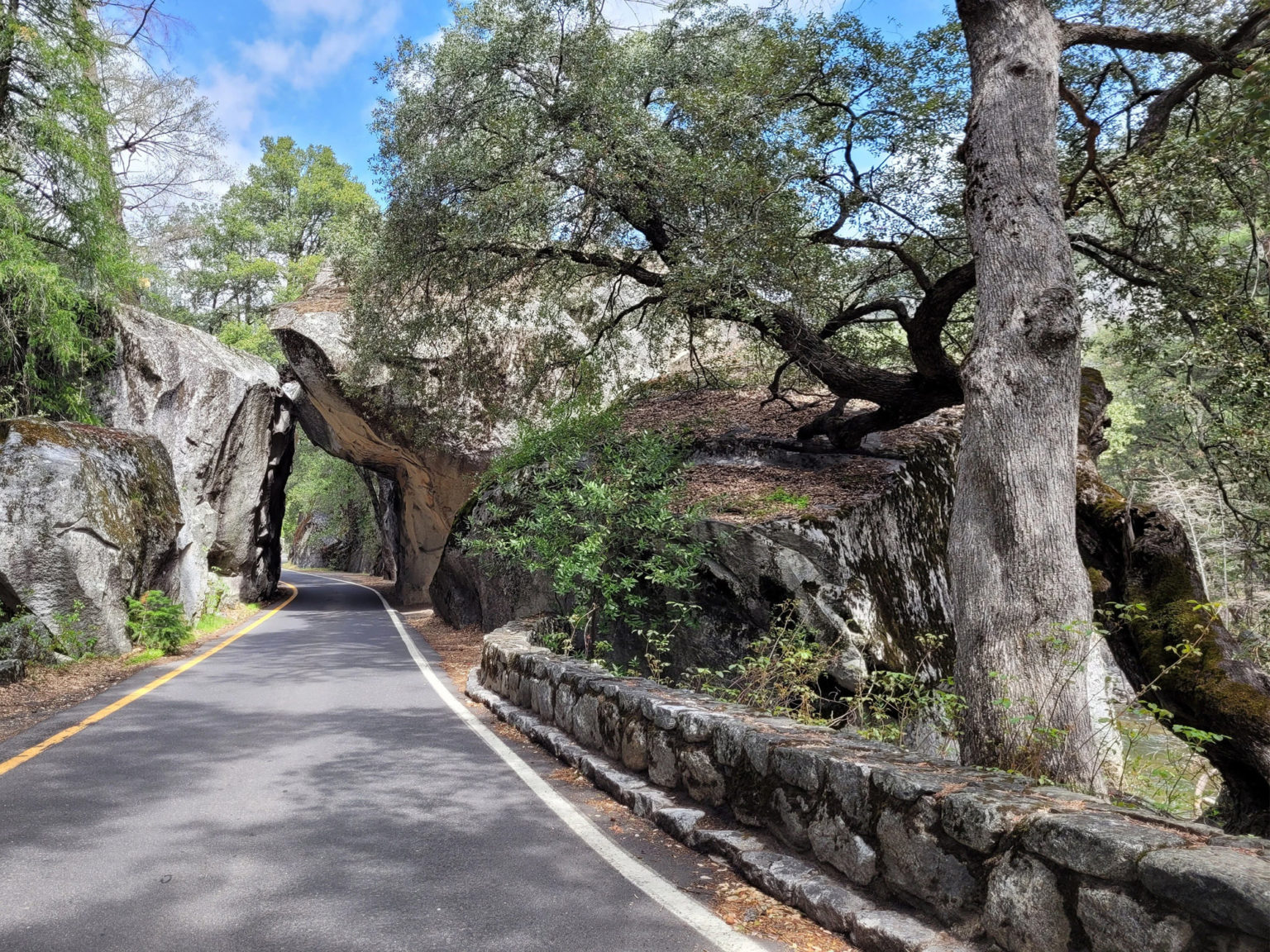 Transportation Options | Yosemite Bug Rustic Mountain Resort